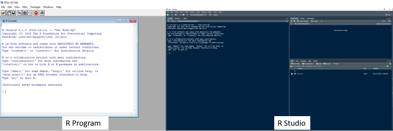 Introduction to R and R studio – Dr. Anastasia Shavrova